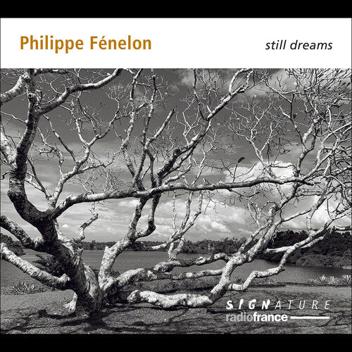 Fenelon: Still Dreams – HBDirect