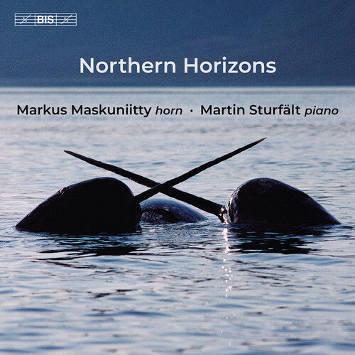 Northern Horizons – HBDirect